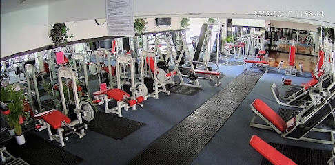 Gym 13 en Cuauhtémoc 🏋️‍♂️